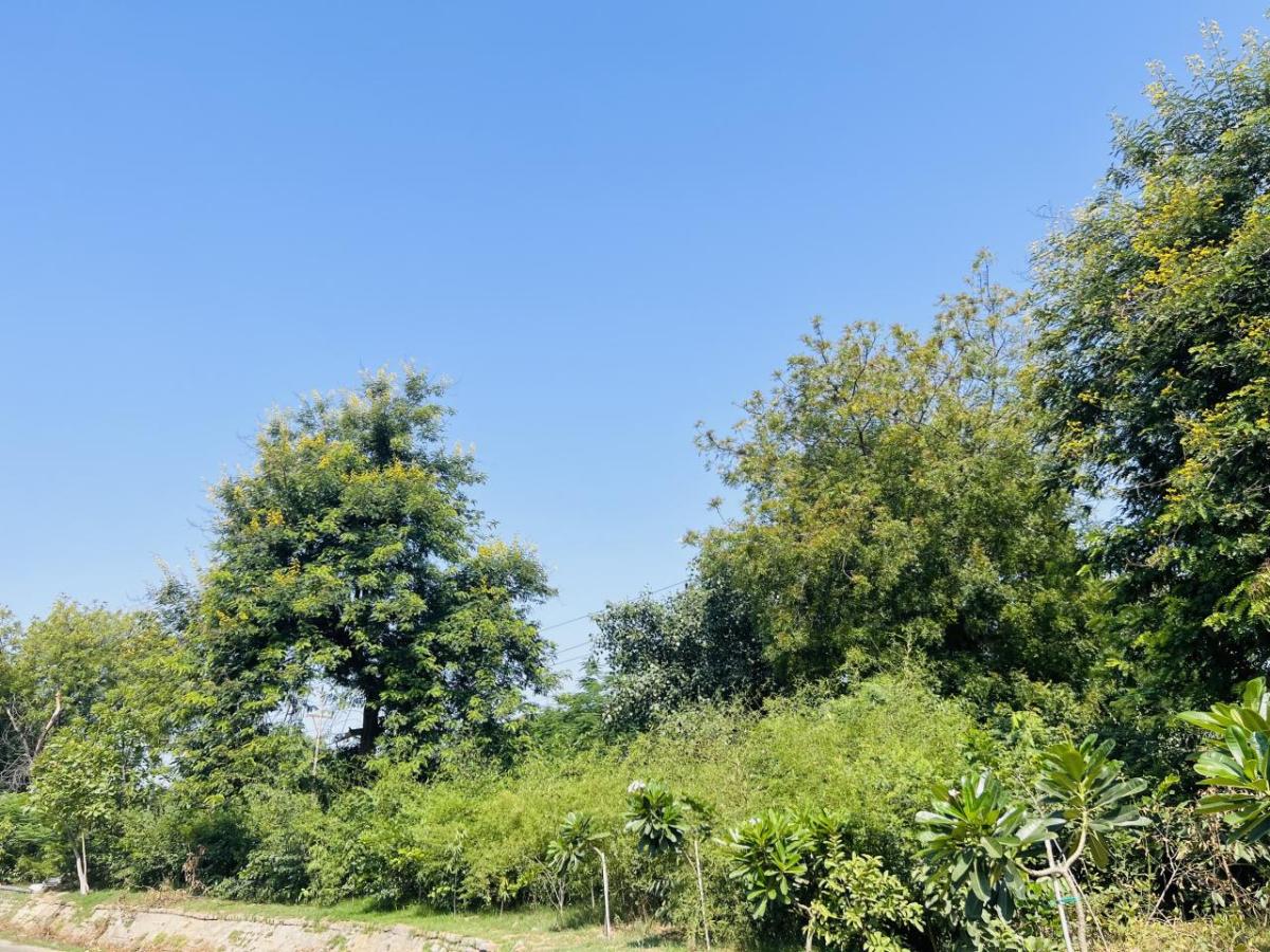 CNH Industrial Kicks Off a Sustainable Year Story Series